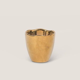 Collections – Urban Nature Culture